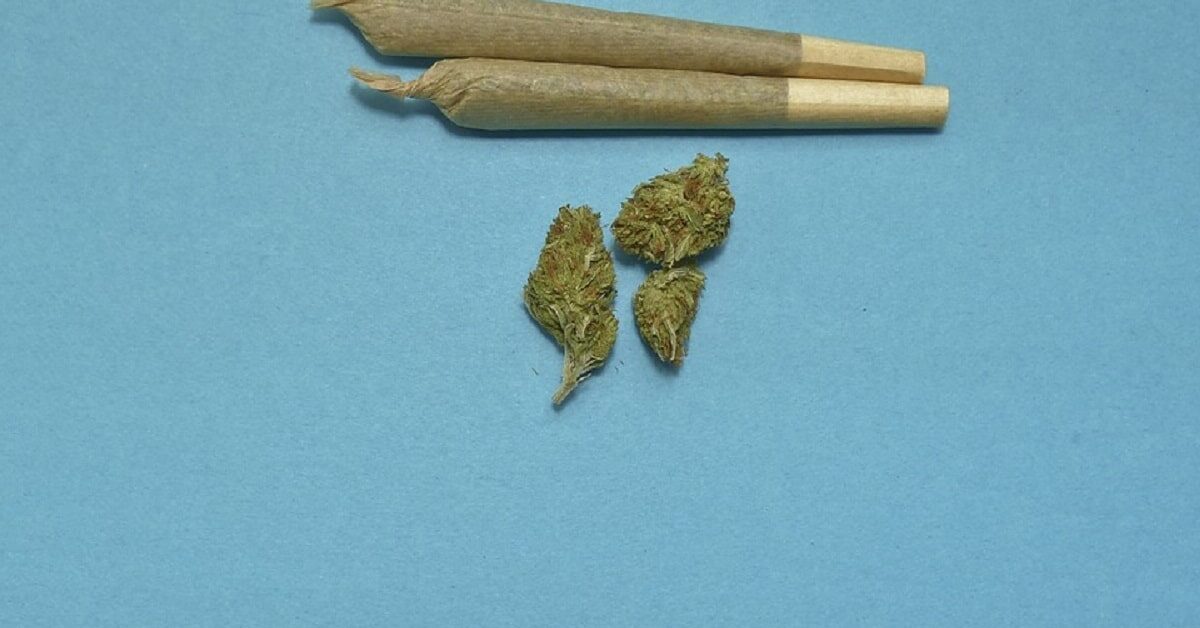 Health Canada To Publish Cannabis Sampling Program Results In 2025