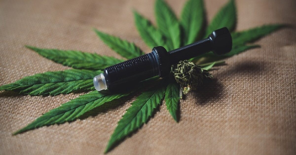 Italian Study Finds THC-Dominant Extracts Reduce Alzheimer’s-Induced ...