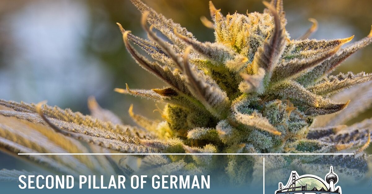Second Pillar Of German Cannabis Legalization Inches Forward